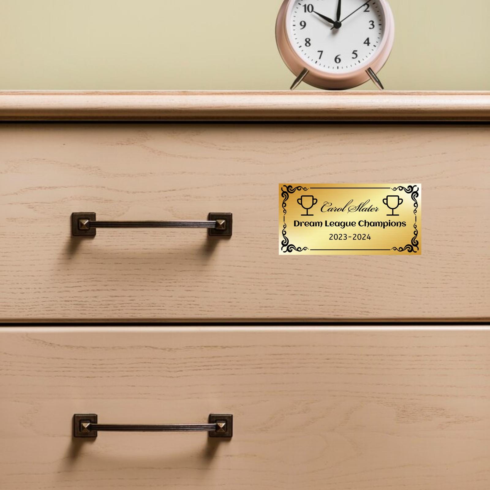 Custom Engraved Brass Nameplates, Brushed Solid Brass Frame Plaque, Pet ...