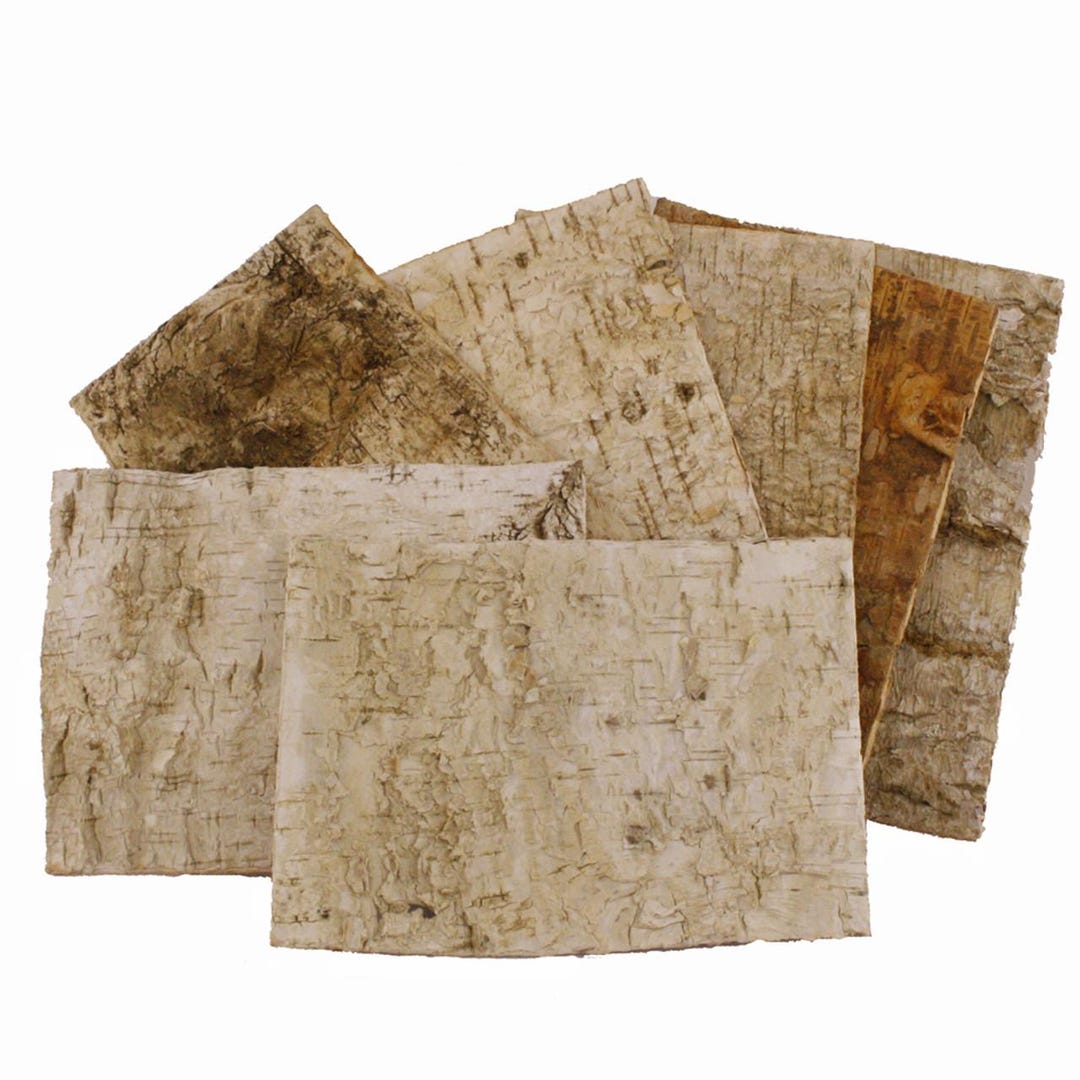 Birch Tree Bark Sheets 24x17cm Pack of 7 - Etsy