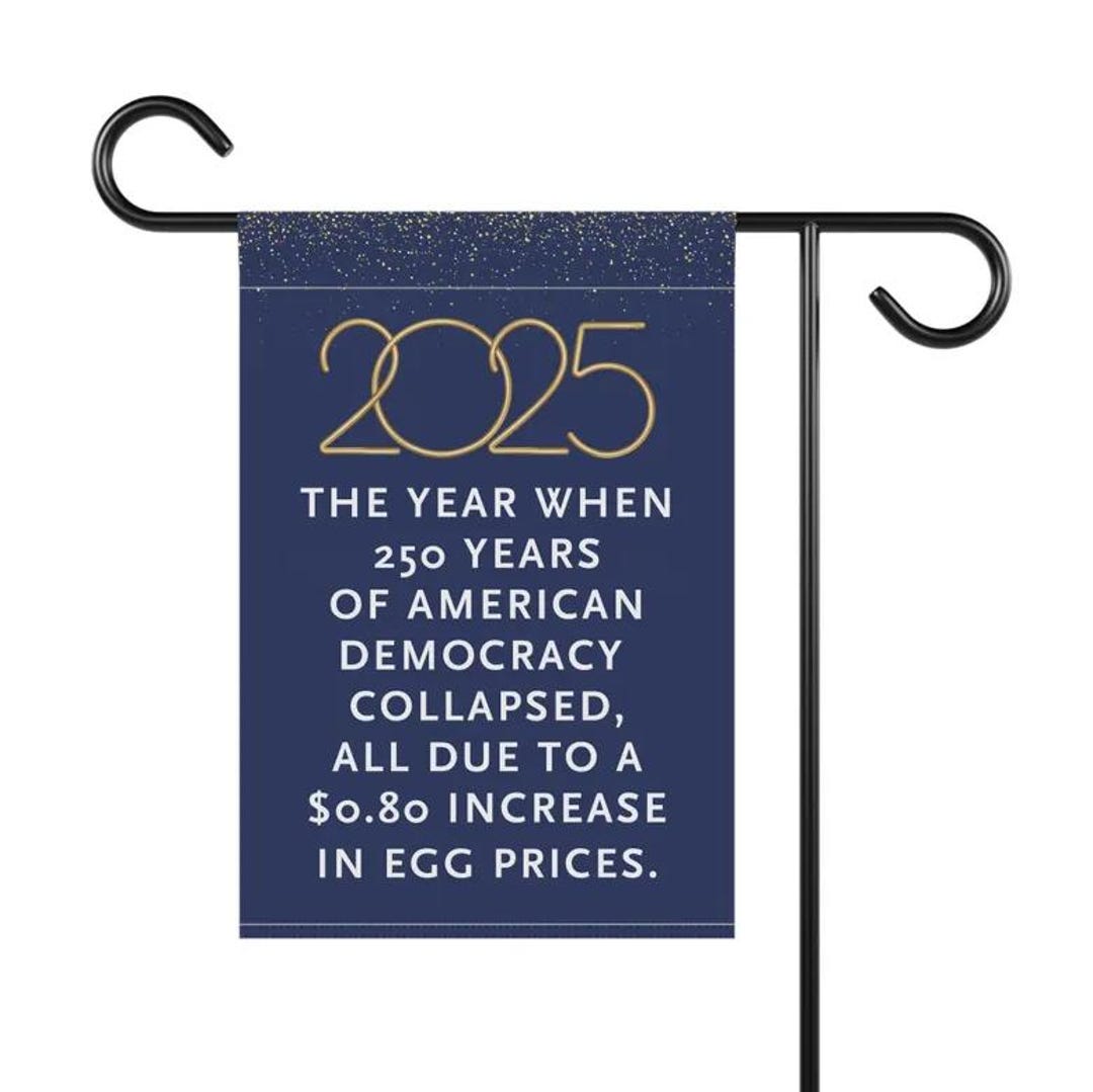 New Years 2025 Funny Political Garden Flag House Banner for Democrats ...