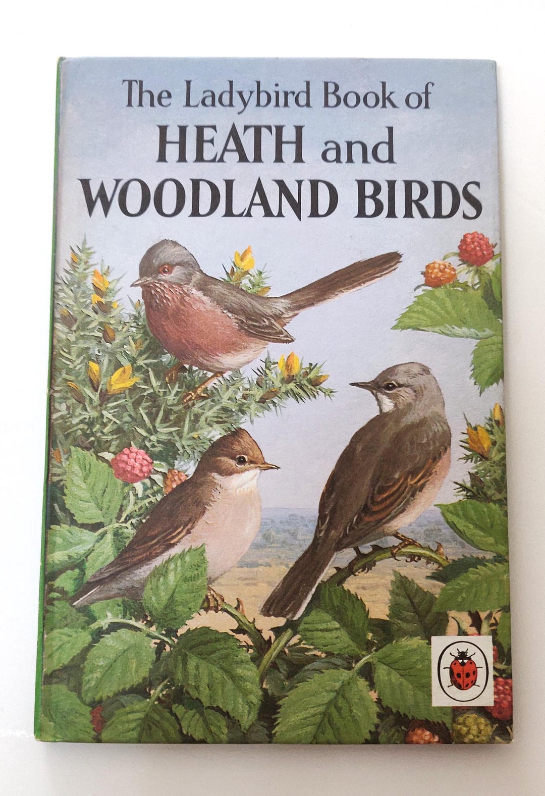 Vintage the Ladybird Book of HEATH and WOODLAND BIRDS | Childrens Book ...