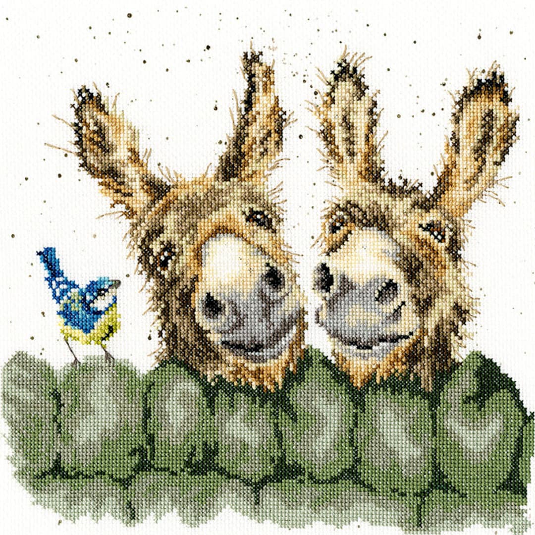 Hee Haw Counted Cross Stitch Kit by Bothy Threads Two Donkeys - Etsy