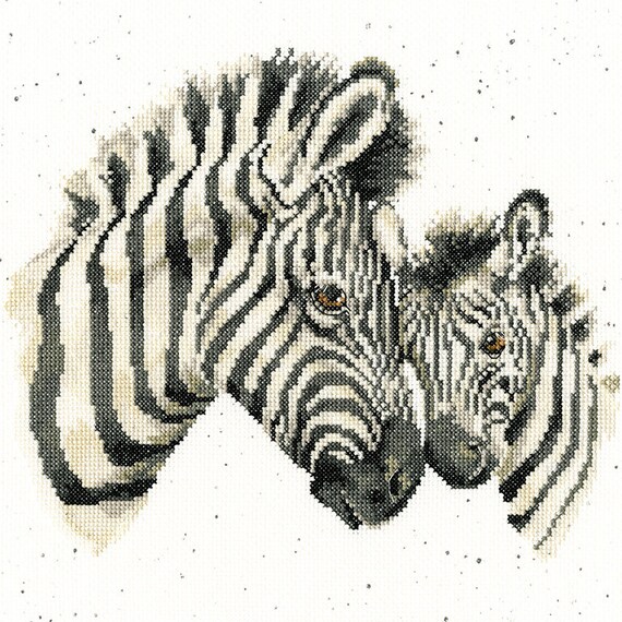 Zebra Racing Stripes