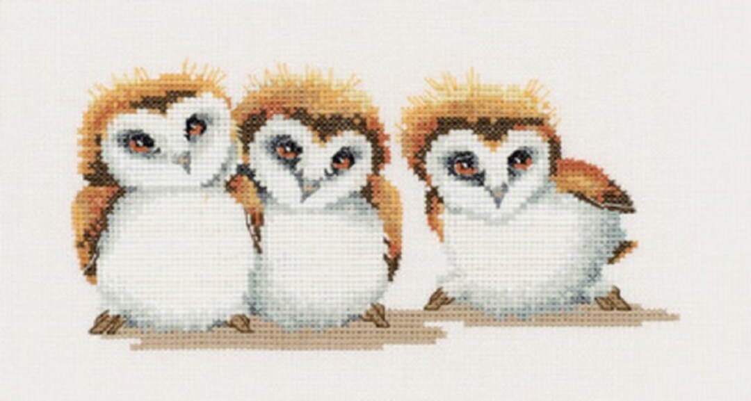 Three Little Maids Owls Counted Cross Stitch Kit BY Heritage Crafts ...