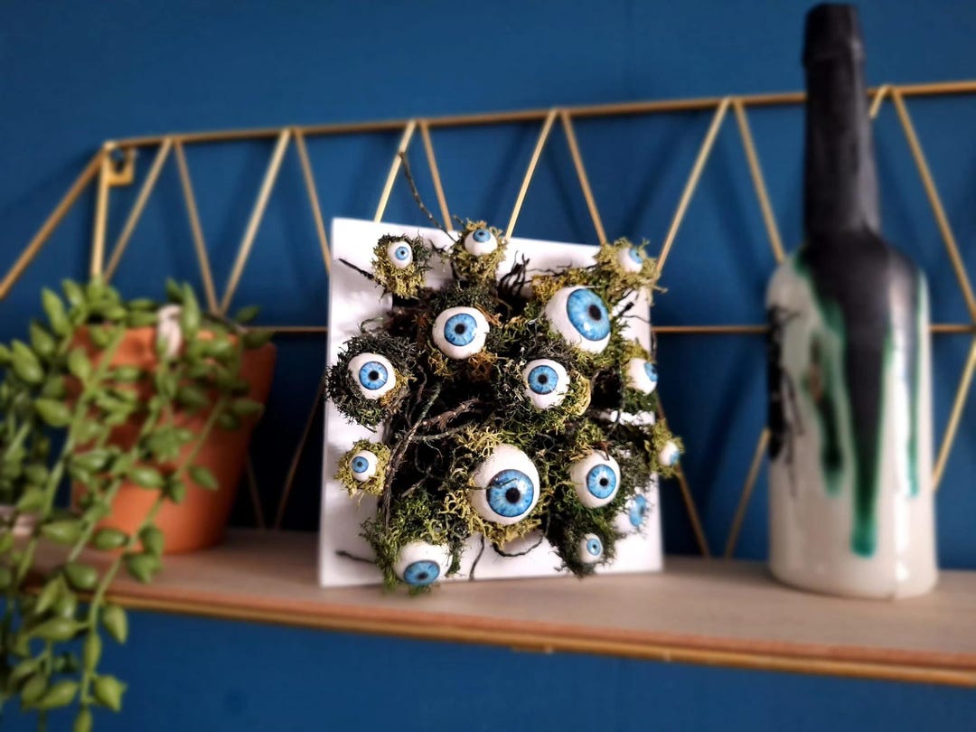 Labyrinth Lichen Eyes Sculpture in Frame - Moveable Mossy Eyes - Come ...