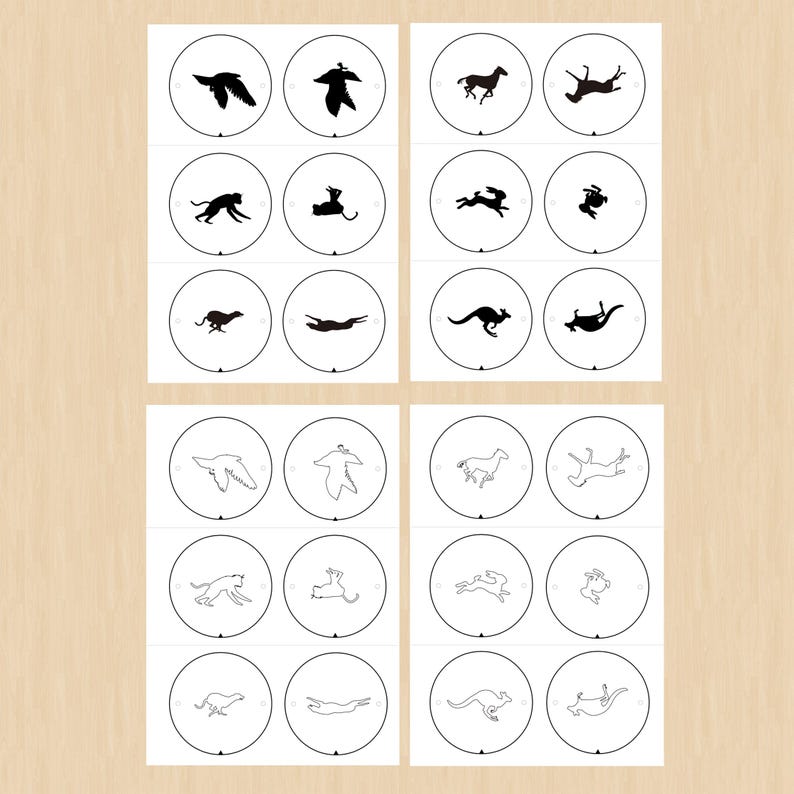 Spin and Watch It Move! Animal Motion Craft - Etsy