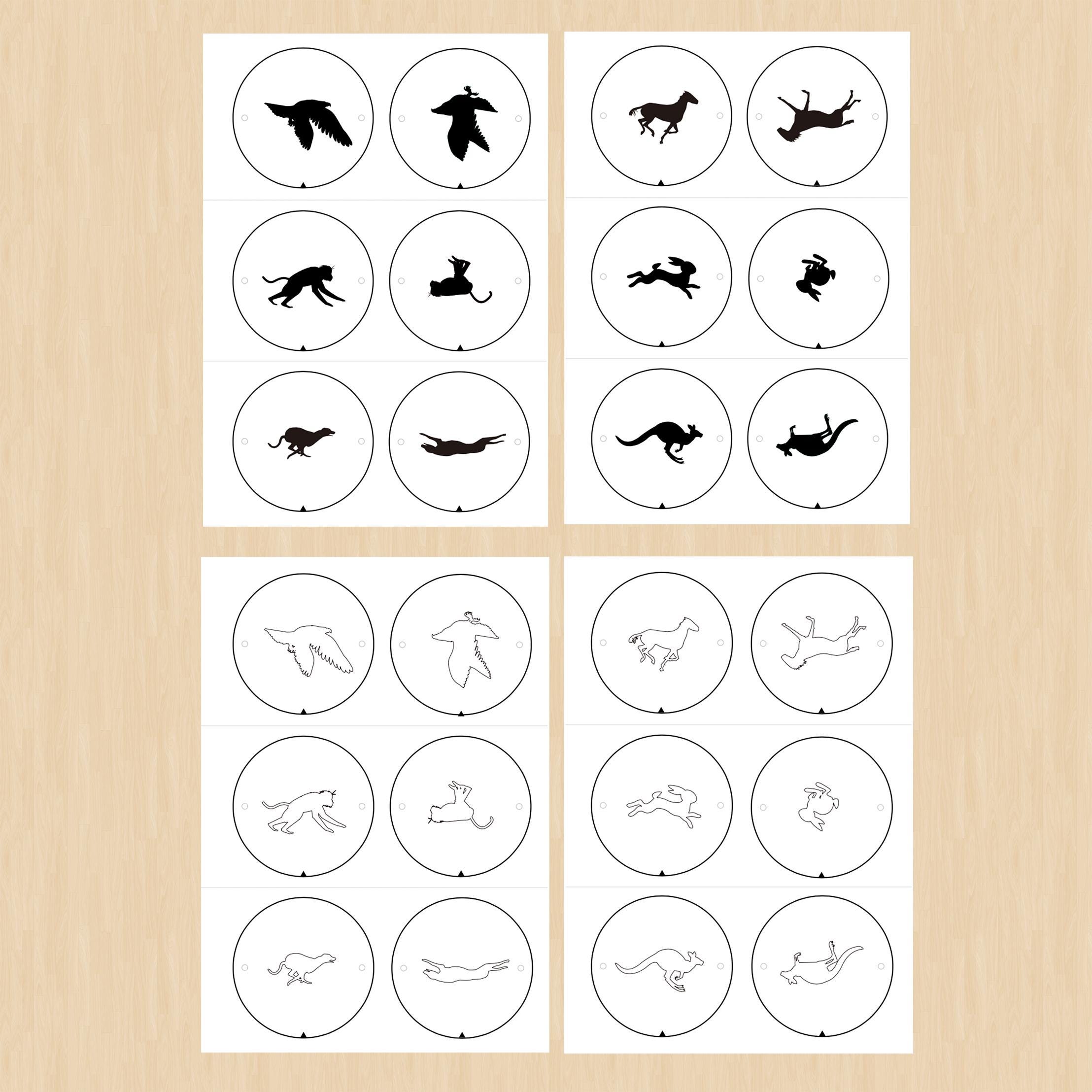 Spin and Watch It Move! Animal Motion Craft - Etsy