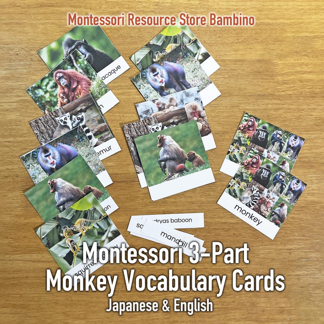 Montessori 3-part Monkey Vocabulary Cards – Japanese & English - Etsy