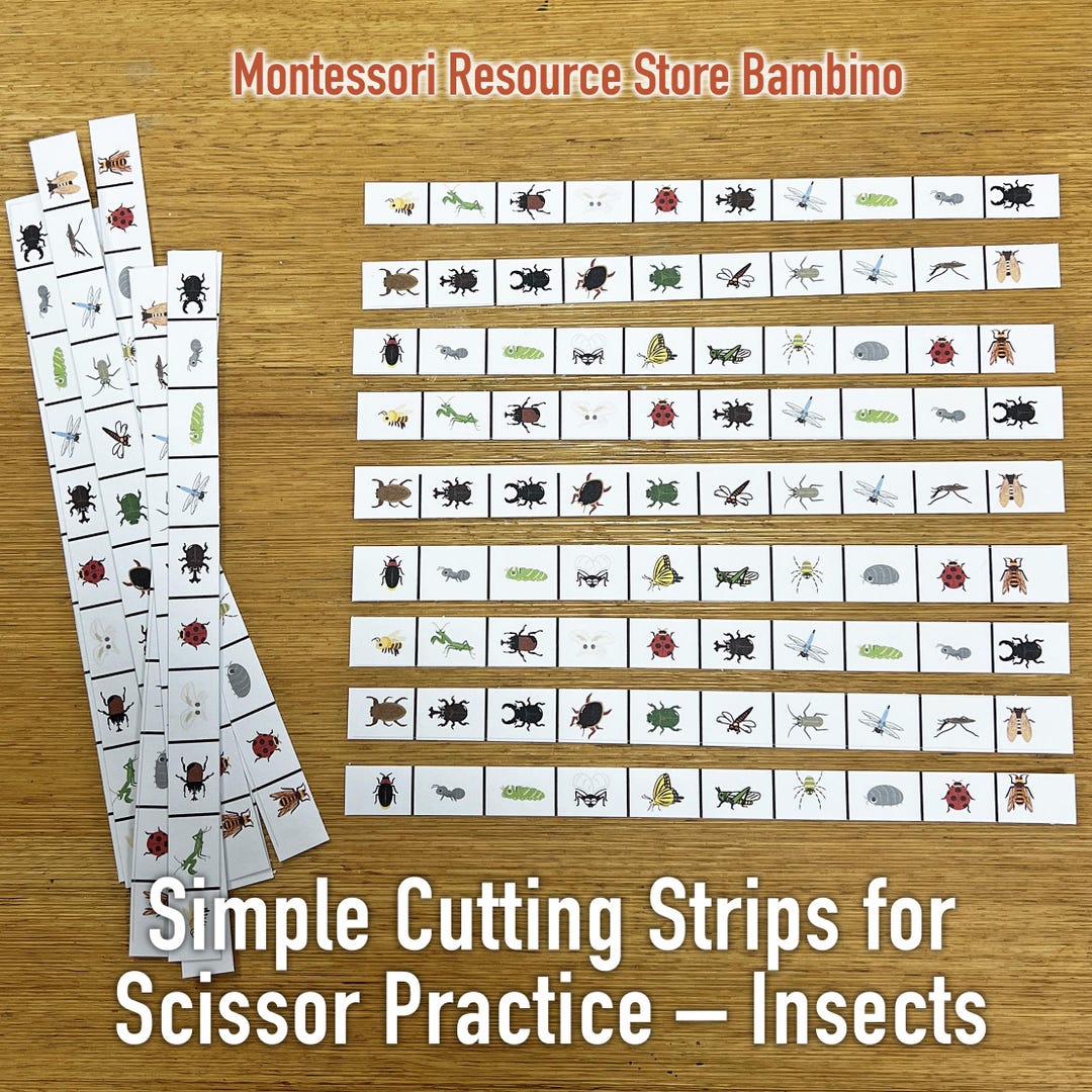 Simple Cutting Strips for Scissor Practice – Insects - Etsy