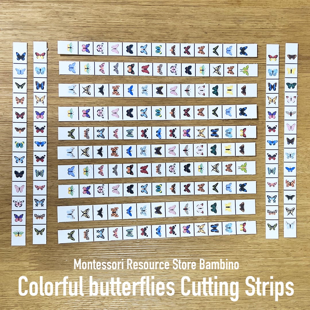 Colorful Butterflies Cutting Strips - Etsy