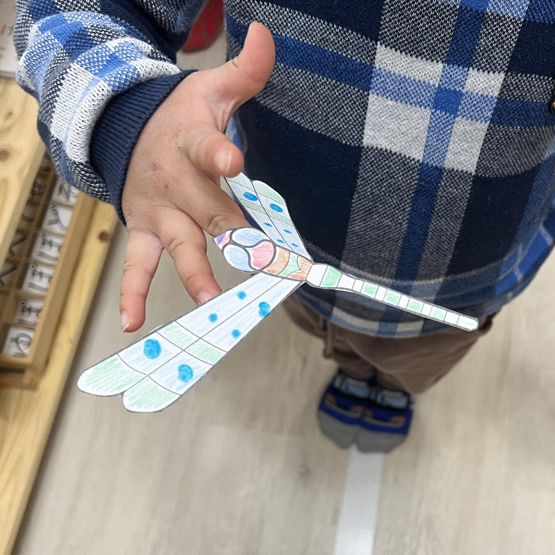 Balancing Toy：dragonfly - Etsy
