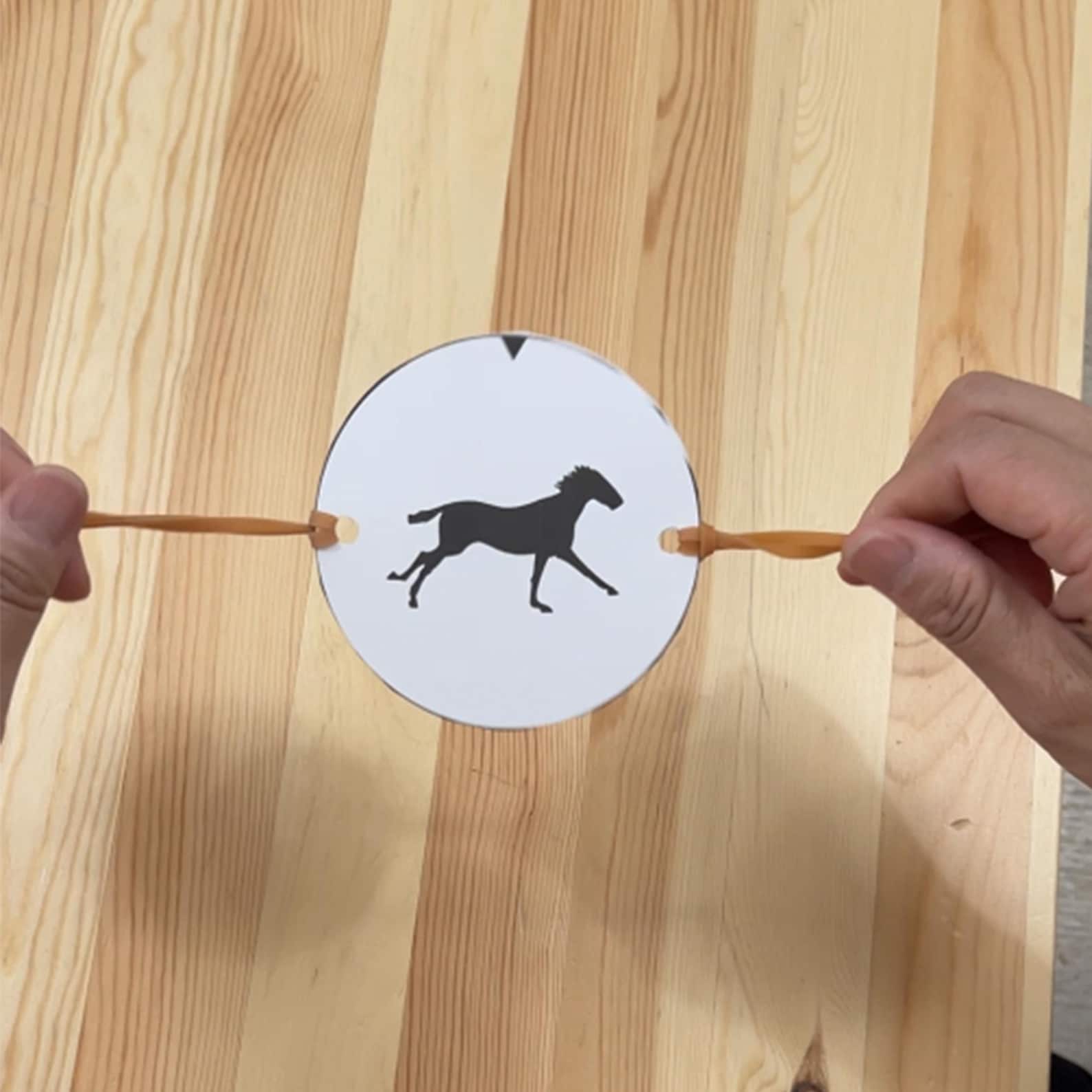 Spin and Watch It Move! Animal Motion Craft - Etsy