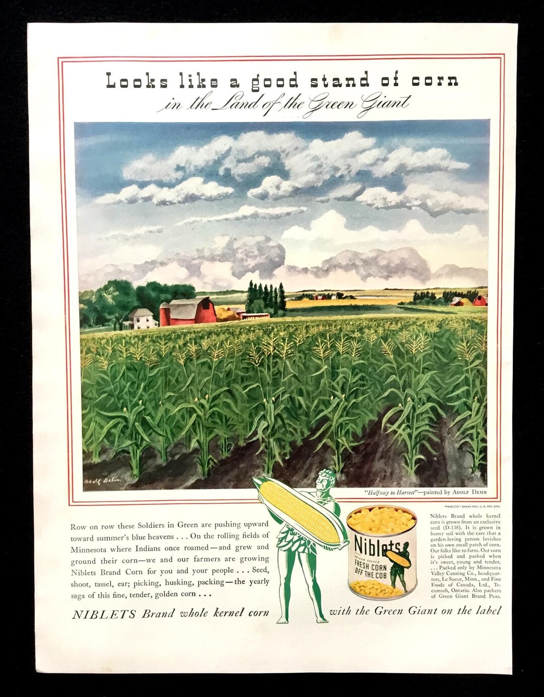 1942 Green Giant Niblets Corn Ad, Vintage Kitchen Decor - Etsy
