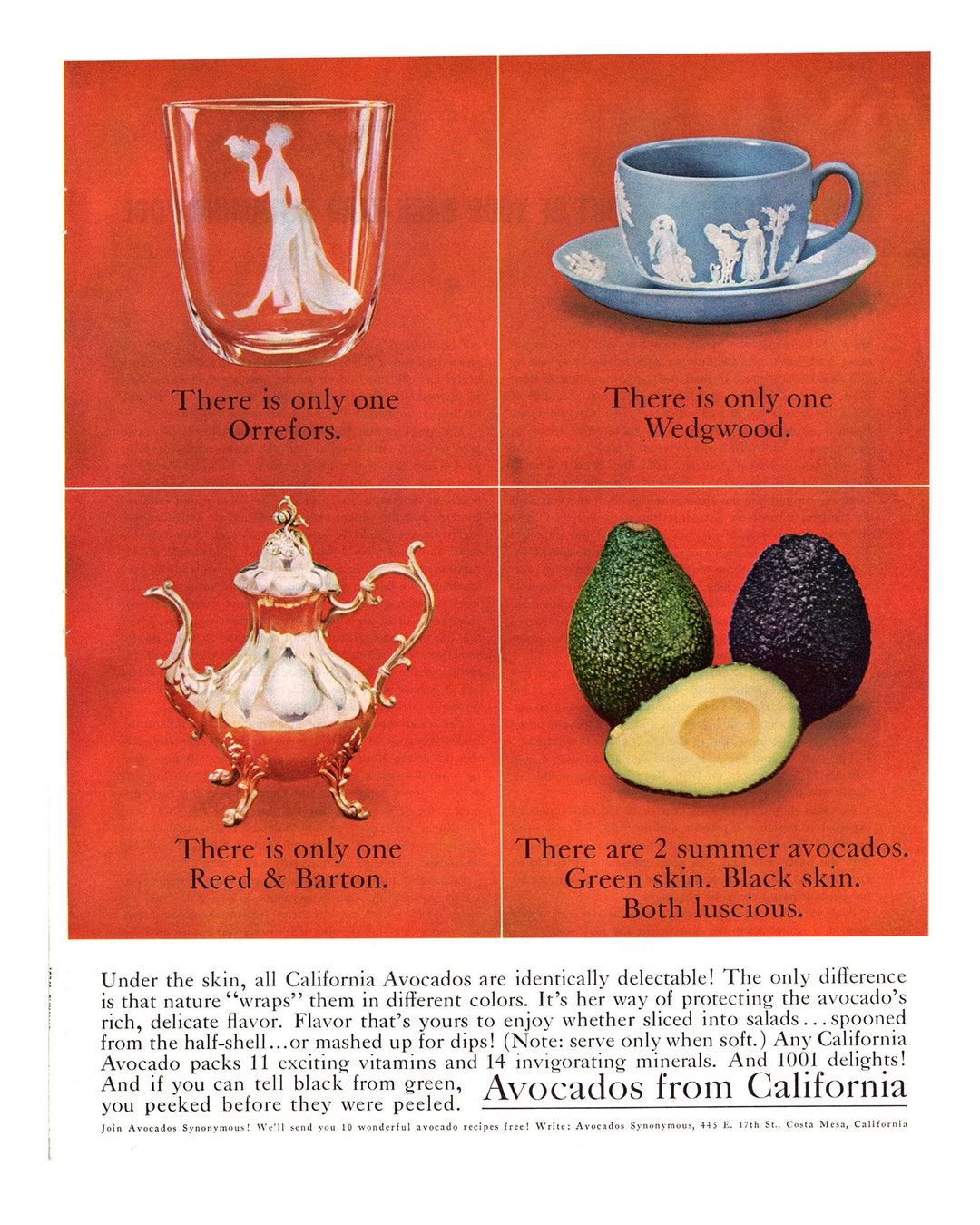 1963 Avocados From California Vintage Ad, Advertising Art ...