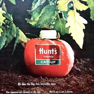 1964 Hunt's Tomato Catsup Vintage Magazine Ad, Kitchen Decor - Etsy