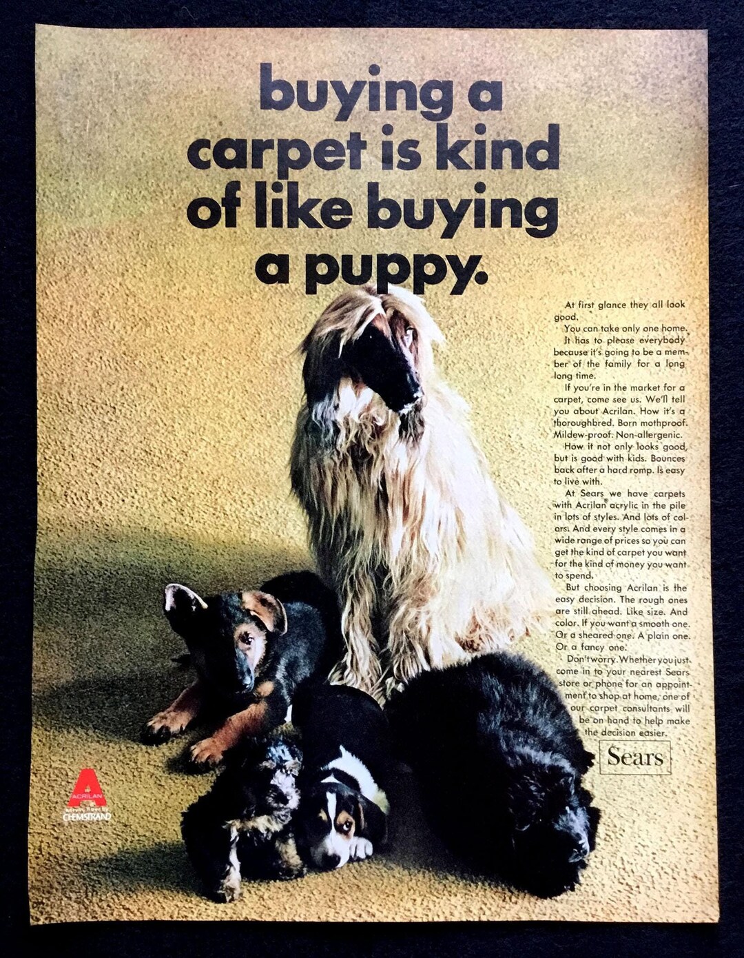 1960's Sears Acrilan Carpets Vintage Ad, Advertising Art, Magazine Ad ...
