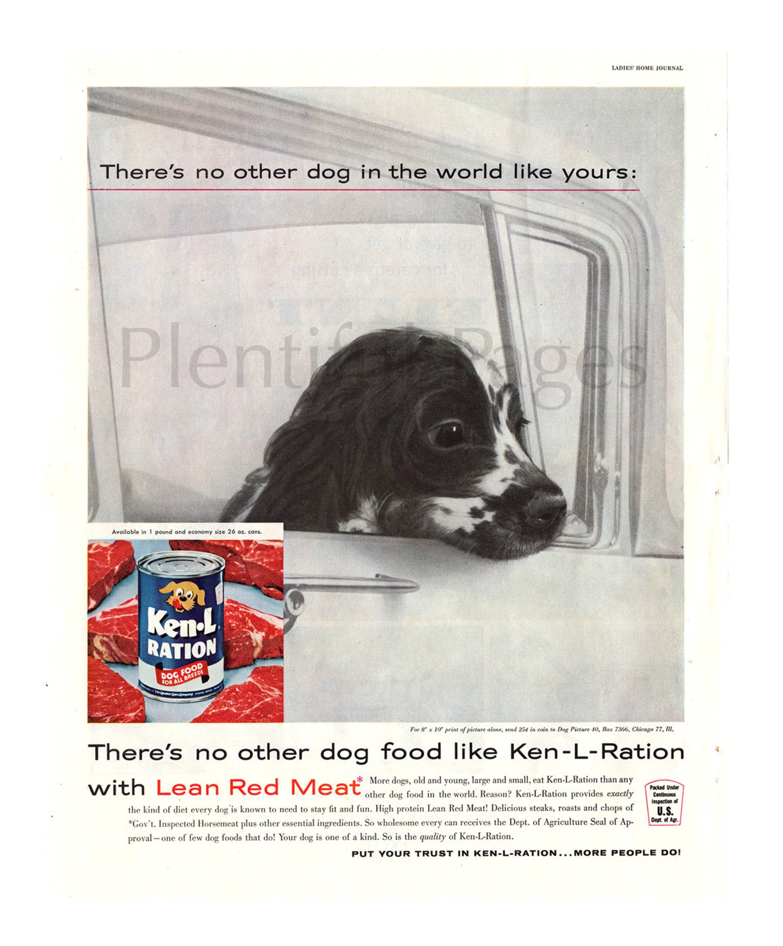 1960 Ken-l-ration Vintage Ad 1960's Dog Food Advertising | Etsy