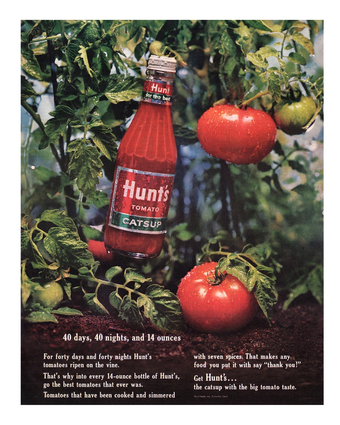 1964 Hunt's Tomato Catsup Vintage Magazine Ad, Kitchen Decor - Etsy