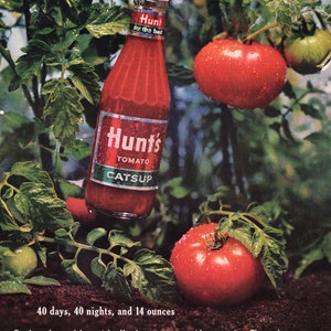 1964 Hunt's Tomato Catsup Vintage Magazine Ad, Kitchen Decor - Etsy