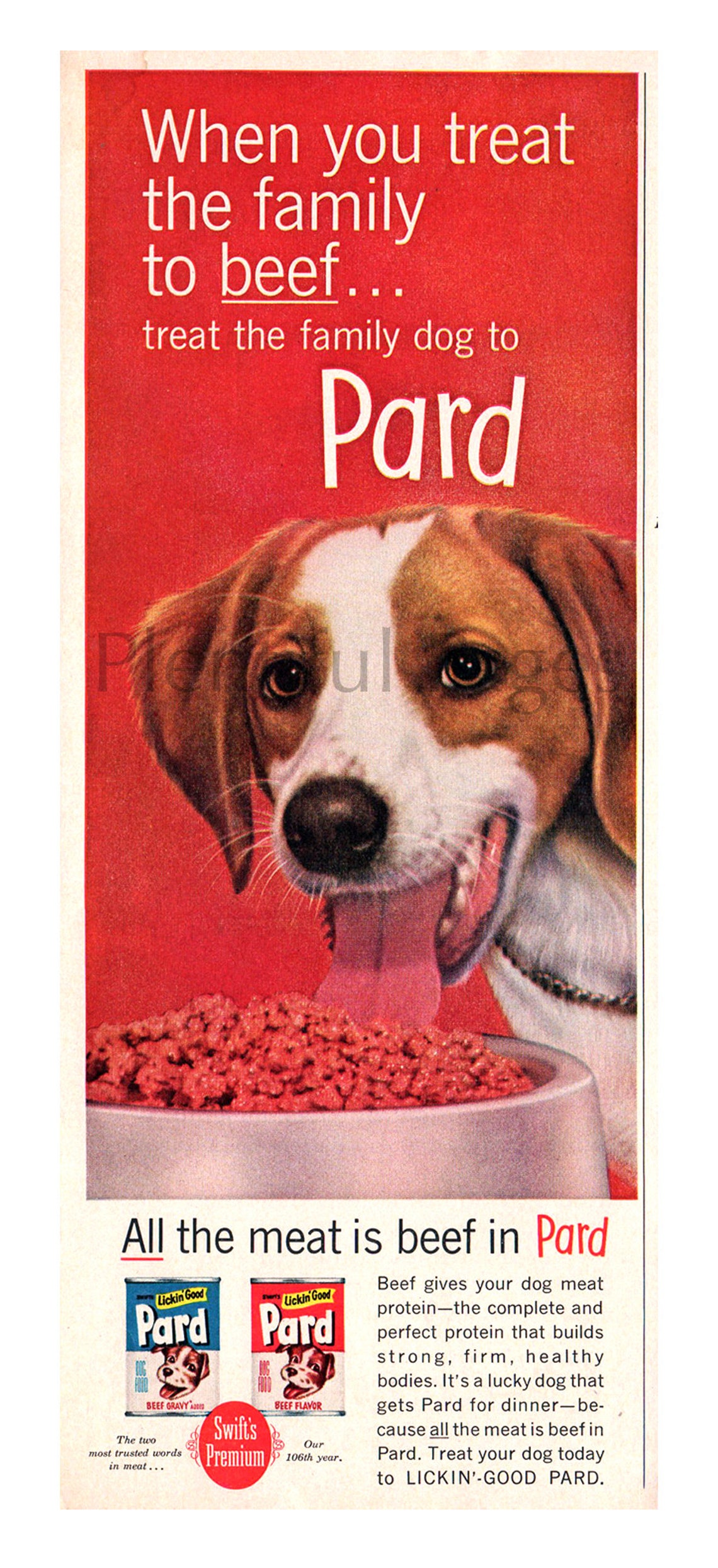1950's Pard Dog Food Vintage Ads, Set of Two, Advertising Art, Magazine ...