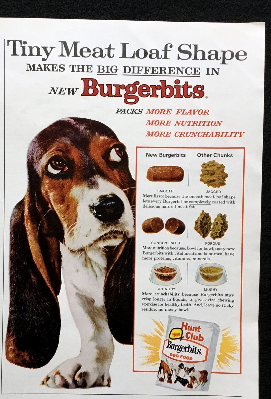 1963 Hunt Club Burgerbits Dog Food Ad, Basset Hound Print - Etsy