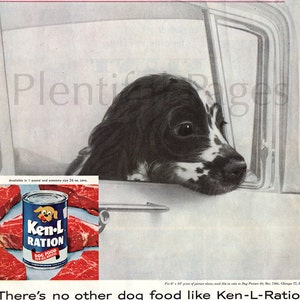 1960 Ken-l-ration Vintage Ad 1960's Dog Food Advertising - Etsy