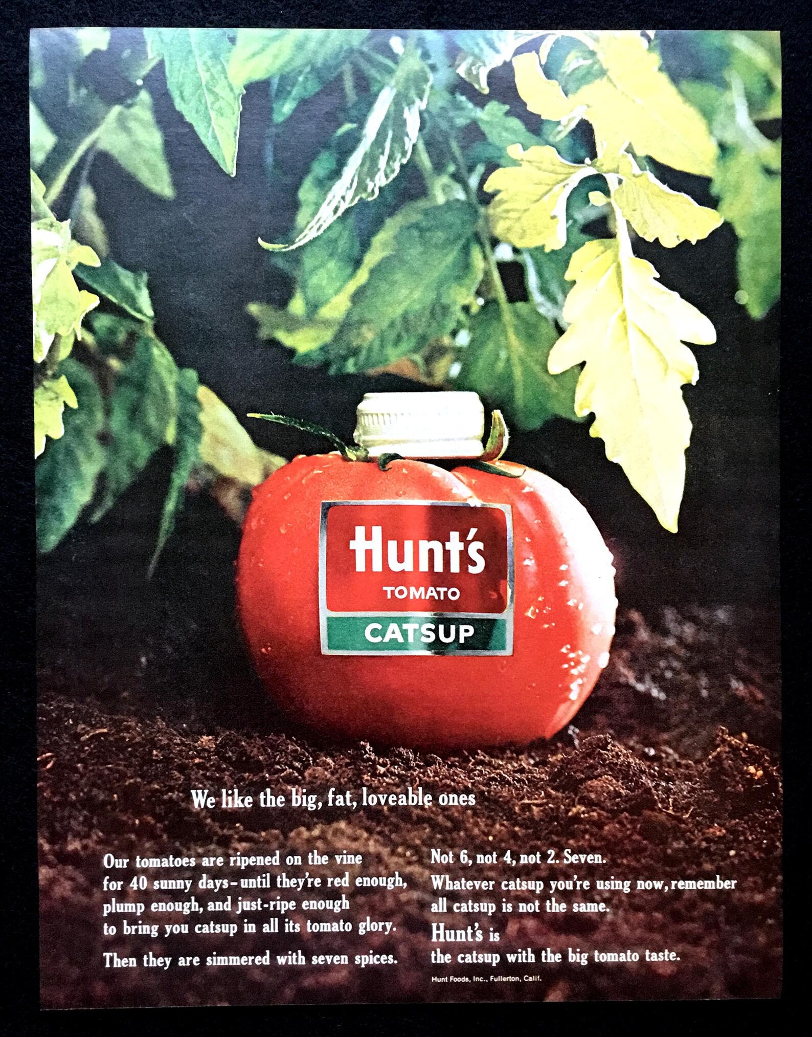 1964 Hunt's Tomato Catsup Vintage Magazine Ad, Kitchen Decor - Etsy