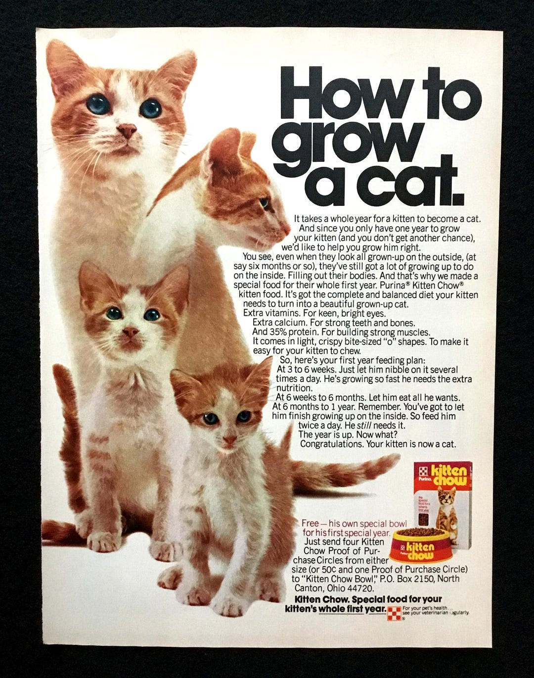 1976 Kitten Chow Vintage Ad, Advertising Art, Magazine Ad, Cat ...