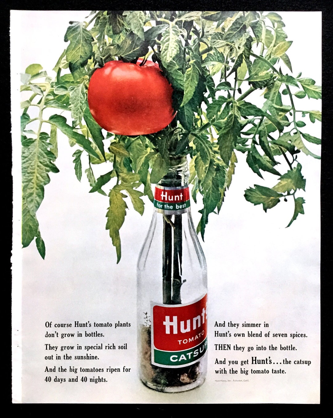 1960's Hunt's Tomato Catsup Vintage Ad, Advertising Art, Magazine Ad ...