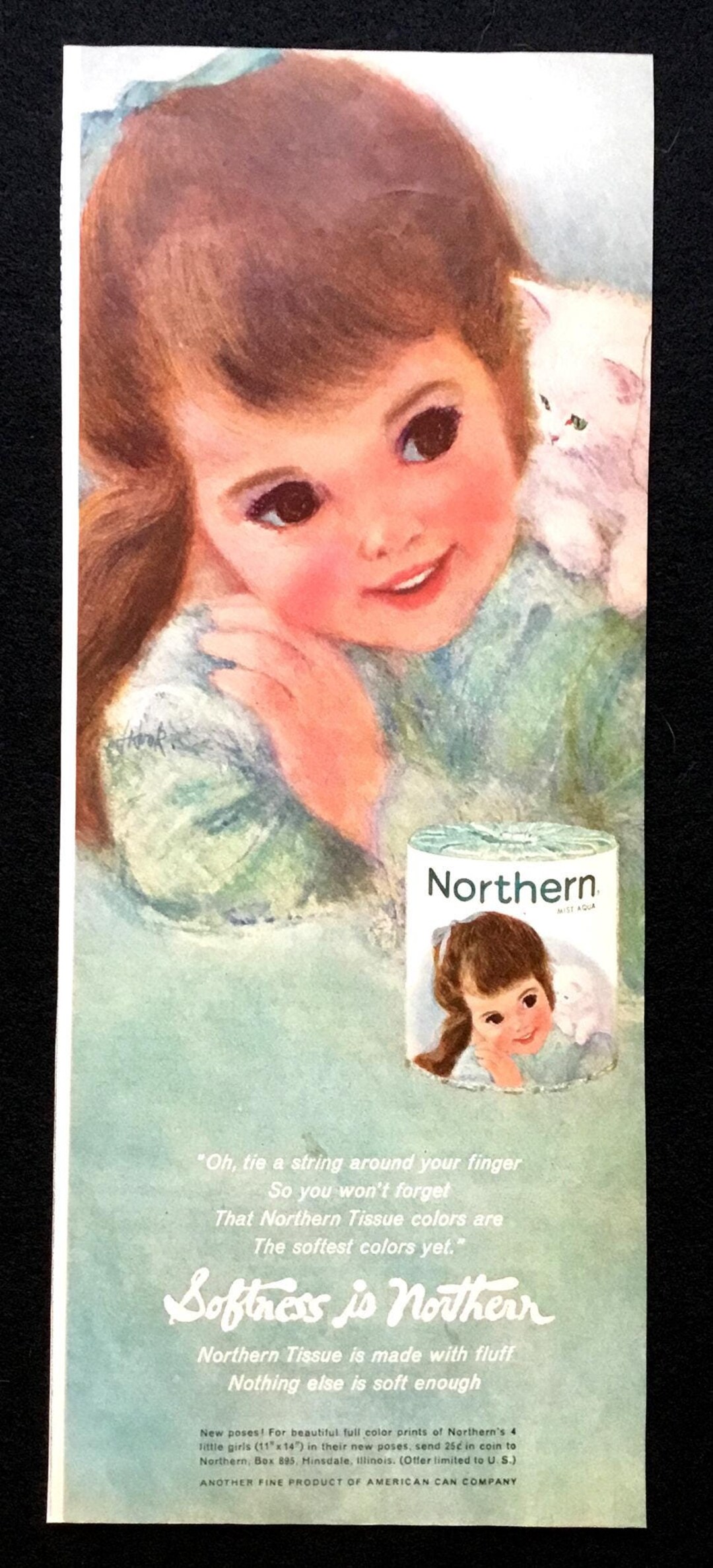 1960s Northern Tissue Vintage Magazine Ad, Bath Decor Art - Etsy