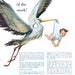 1940's Lederle Vintage Ad, Advertising Art, Magazine Ad, Stork, Print ...