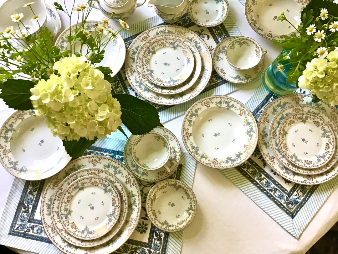 Forget Me Not China / Mix and Match / Rosenthal Continental / Made in ...