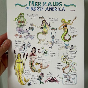 Print: Mermaids of North America, 8.5x11" - Etsy