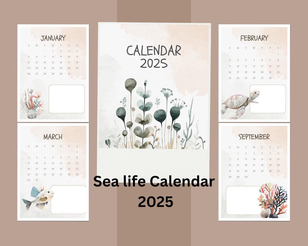 Sea Life Calendar 2025 - Etsy