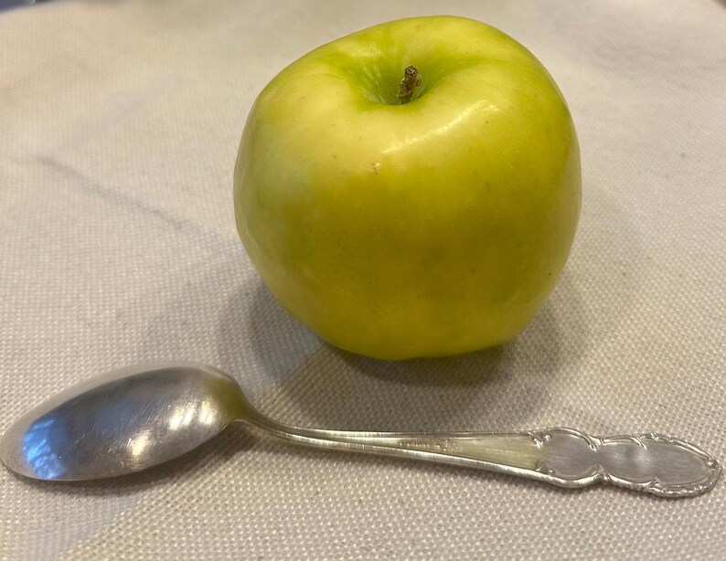 Alabama Souvenir Spoon: American Eagle Manchester Sterling Silver ...