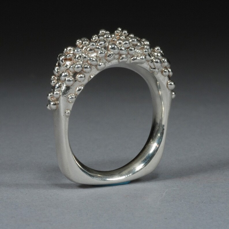 Seed Ring in Sterling Silver by Calgary Artist Melissa Pedersen ...