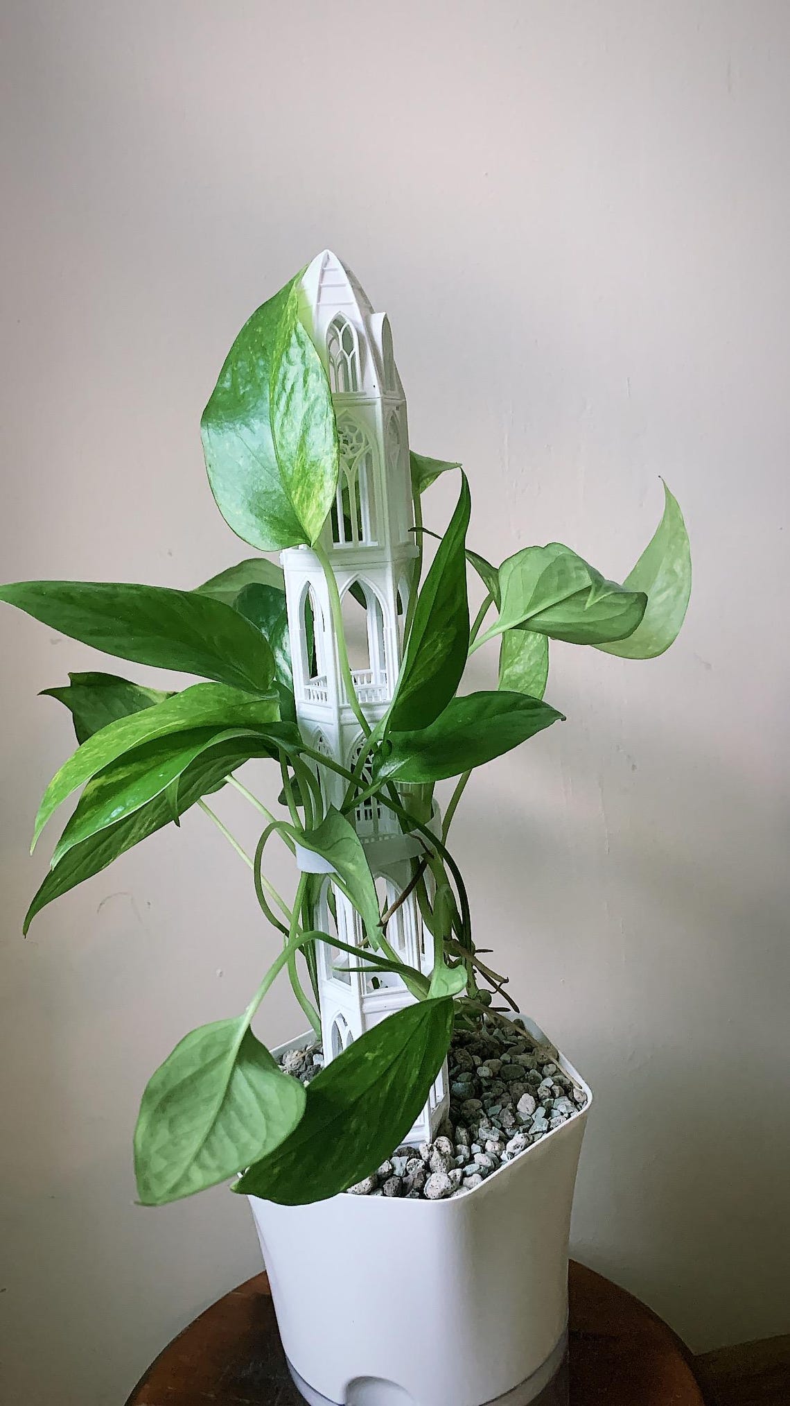 Mini Stake With Moss Lock for Plants. Small Gothic Tower, Hydroponic ...