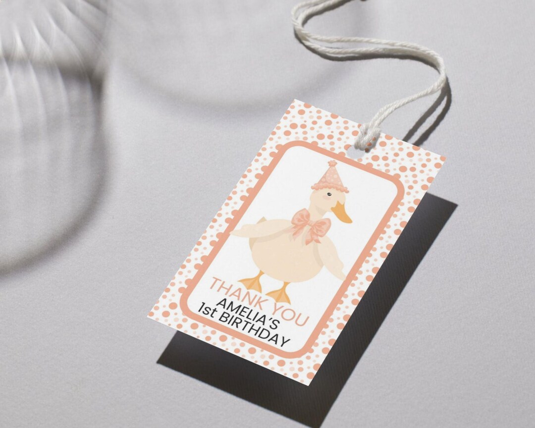 1st Birthday Thank You Tags, Birthday Thank You Tags, One Silly Goose ...