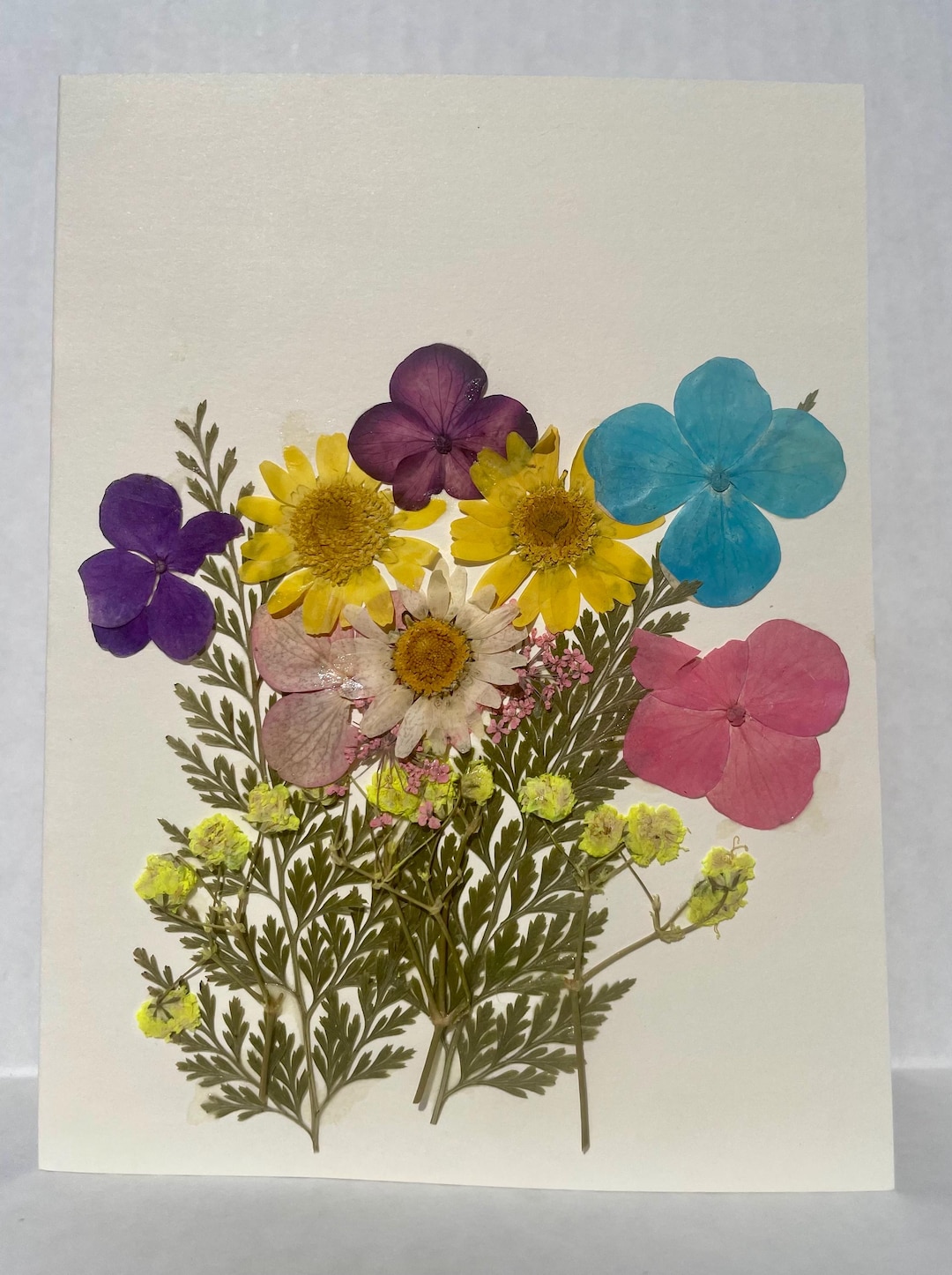 Pressed Flower Art Greeting Cards - Dried Flower Greeting Cards for ...