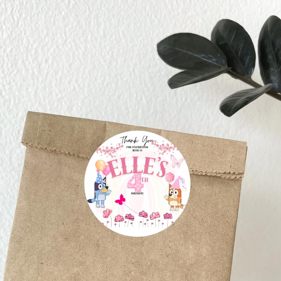 Bluey Party Package - Etsy UK