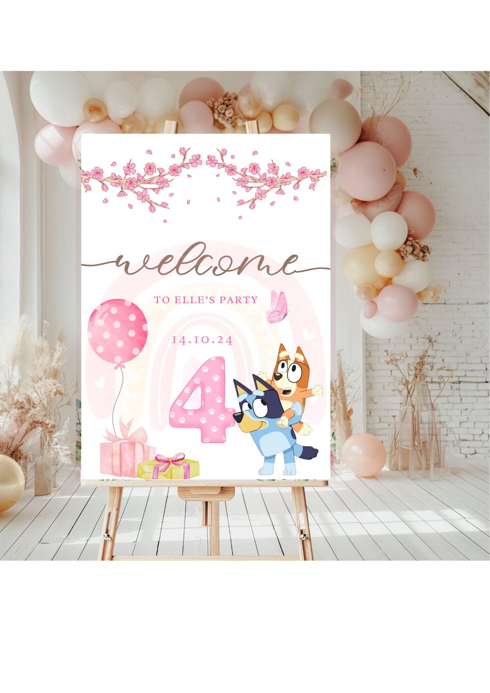 Bluey Party Package - Etsy