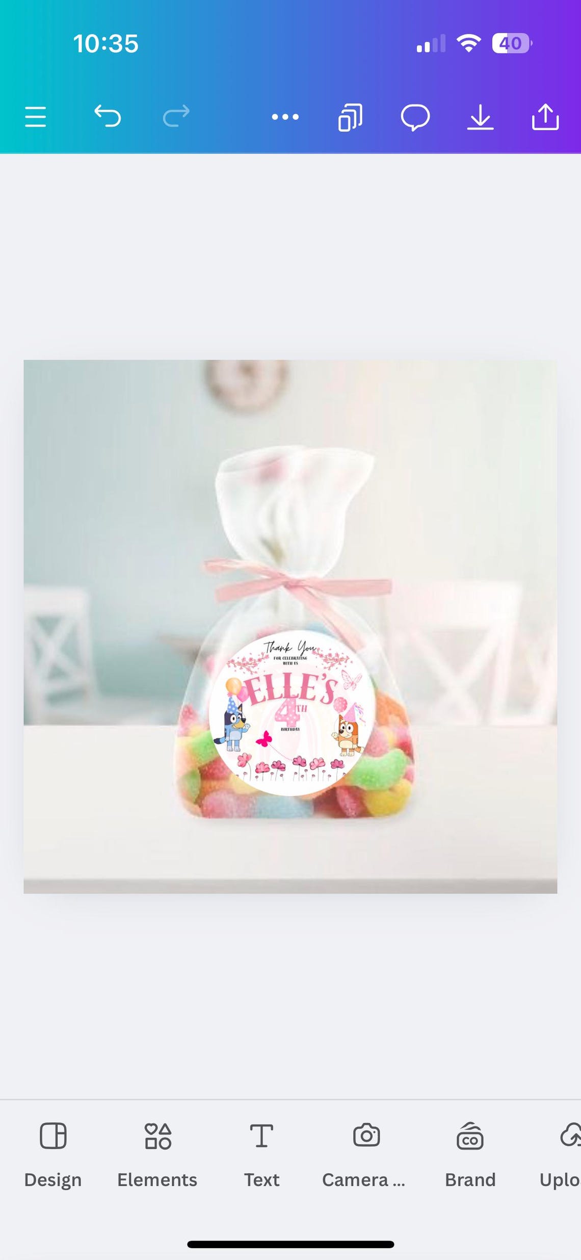 Bluey Party Package - Etsy UK