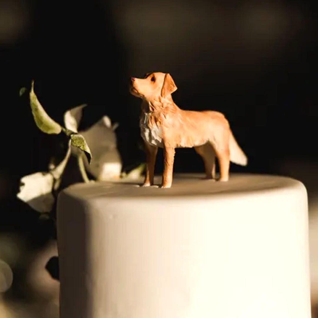 Personalized Dog Cake Topper: Custom Polymer Clay Pet Figurine - Etsy