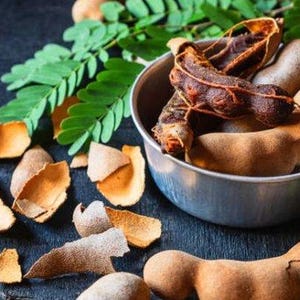 Asam Jawa (tamarindus Indica) - Etsy