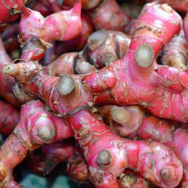 Red Ginger - Etsy