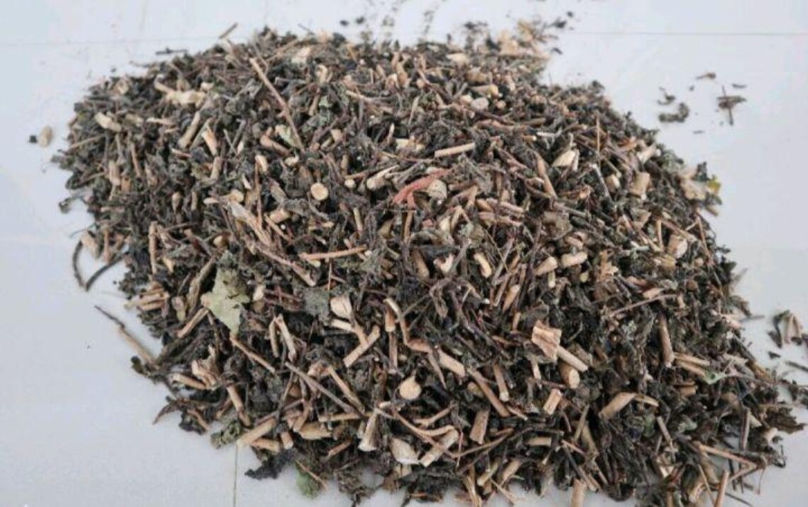 DRIED -daun Pecut Kuda (stachytarpheta Jamaicensis) - Etsy