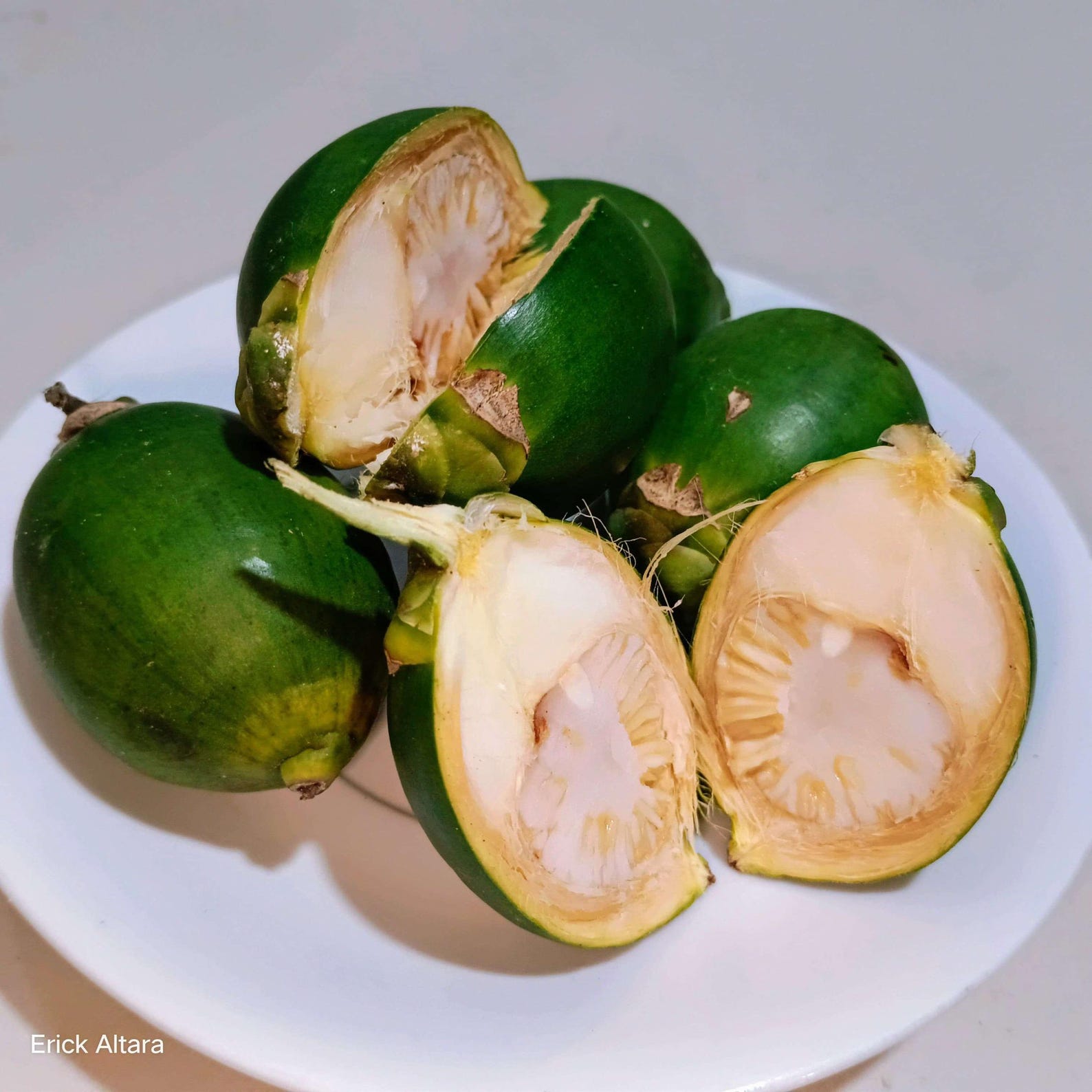 Buah Pinang, Betel Palm Fruit (areca Catechu) - Etsy