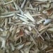 DRIED - Pandan Wangi (pandanus Amaryllifolius) - Etsy