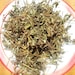 DRIED Daun Patikan Kebo, Asthma Plant euphorbia Hirta - Etsy