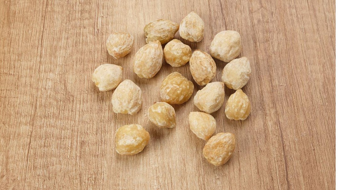 Candlenut, Kukui Nut, Kemiri - Etsy