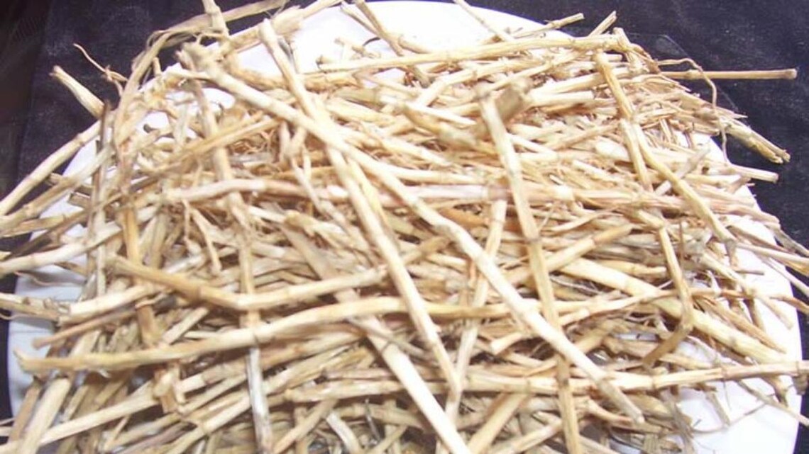 DRIED - Akar Alang-alang, Blady Grass Roots (imperata Cylindrica) - Etsy
